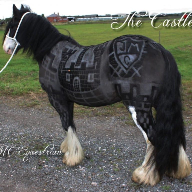 Descubre la nueva tendencia en cortes de pelo para caballos ¡Increíble!