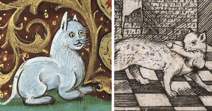 20 Horrorosas pinturas medievales de gatos con las que no podrás parar ...