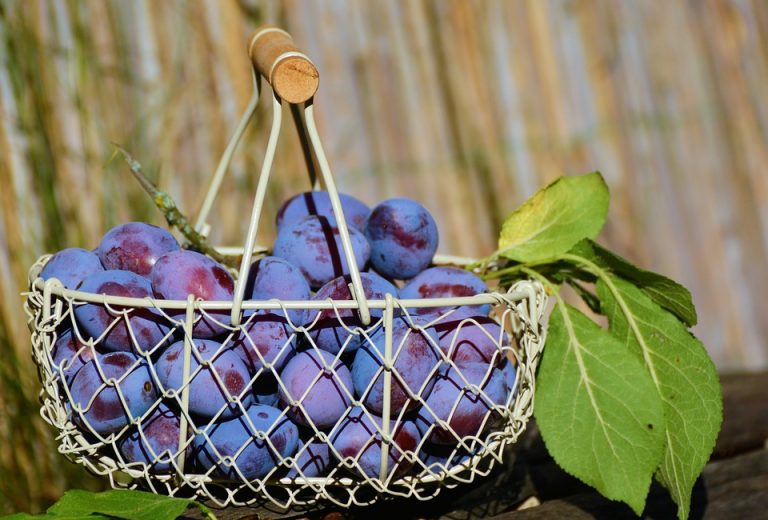 Estos son los impresionantes beneficios de comer más frutas y verduras ...
