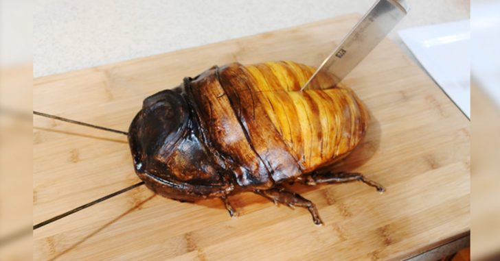 Cortar una cucaracha gigante en una fiesta fue la idea más deliciosa ...