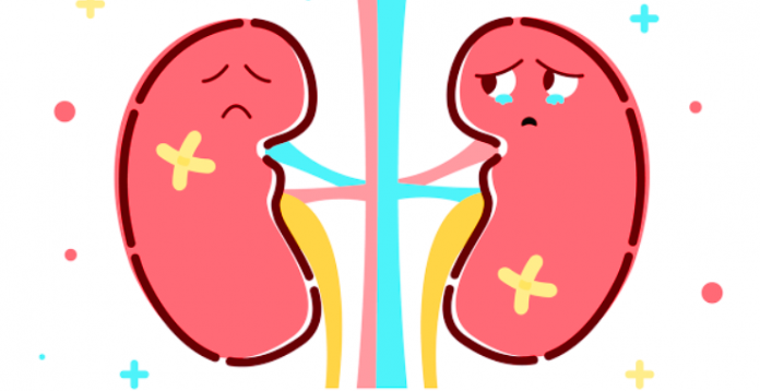 7 Señales típicas de las infecciones de riñón y cómo remediarlas