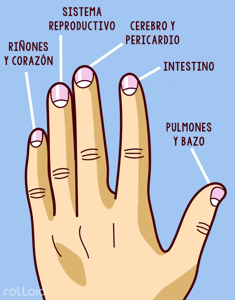 13 Cosas que seguramente no sabías sobre las lúnulas de las uñas y qué ...