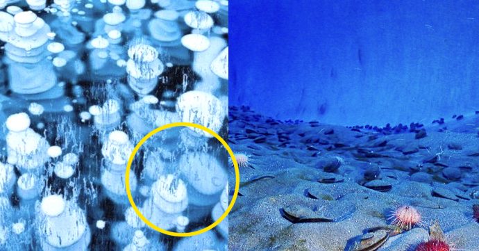 10 Fotografías inéditas de las cosas más raras que muy pocos han visto ...