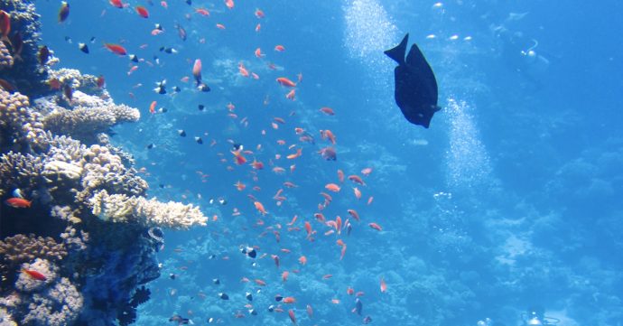 Talasofobia, el miedo persistente que la mayoría de personas tenemos y ...